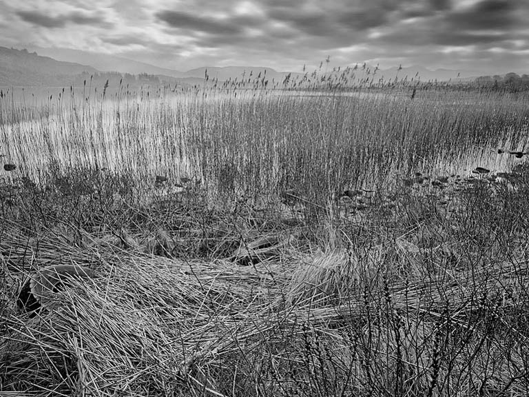 The mist on Carragh Lake: A scene from the pages of a fairytale.
